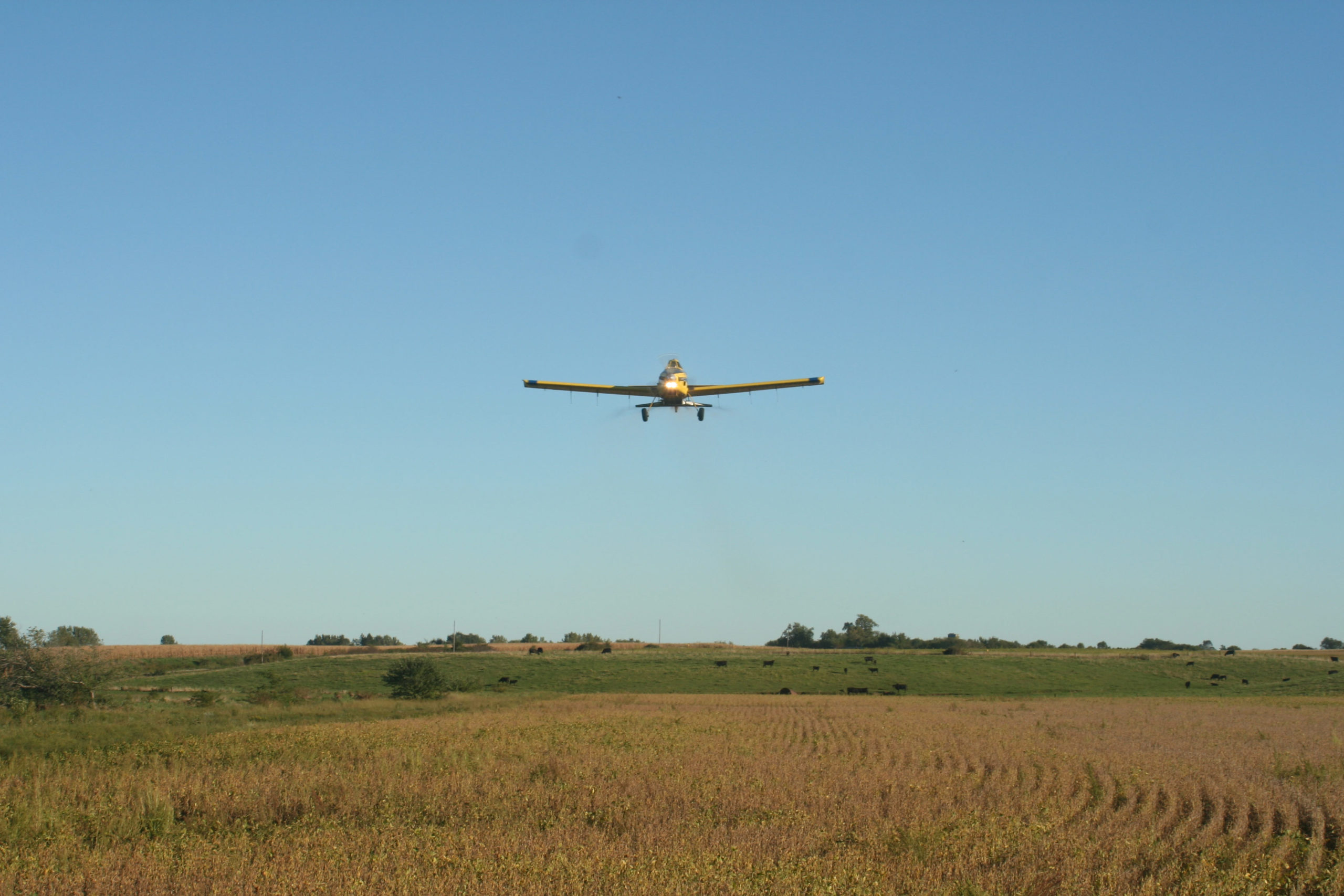 Iowa Cover Crop - Seed Dealer and Cover Crop - Central Iowa, Des Moines ...
